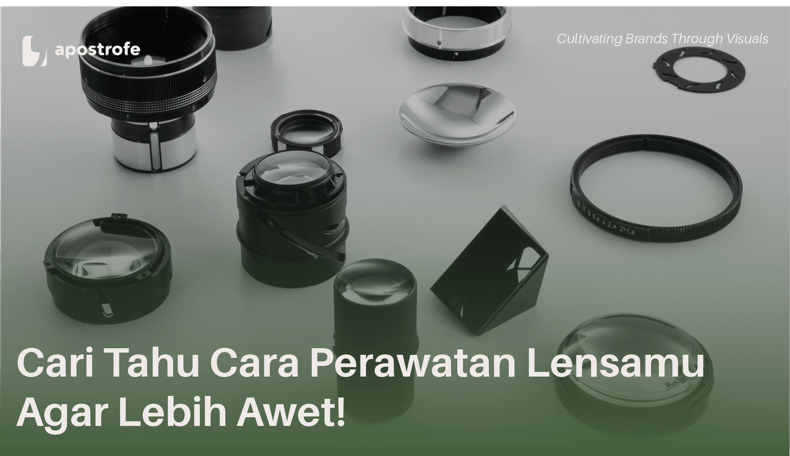 Articles – Apostrofe Creative Studio